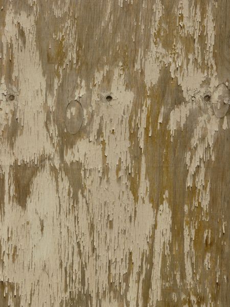 chipping grey wood texture 0021 - Texturelib